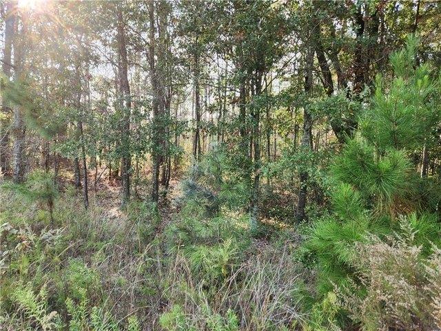 Dauphin Island Pkwy, Coden, AL 36523