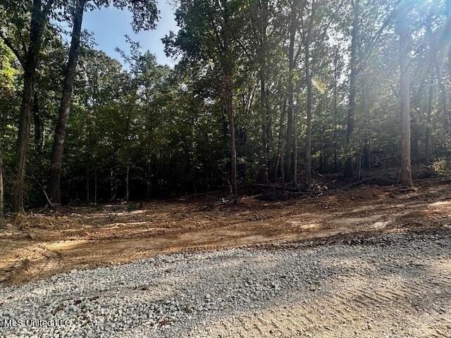 Davenport Rd Lot,byhalia, Plot For Sale