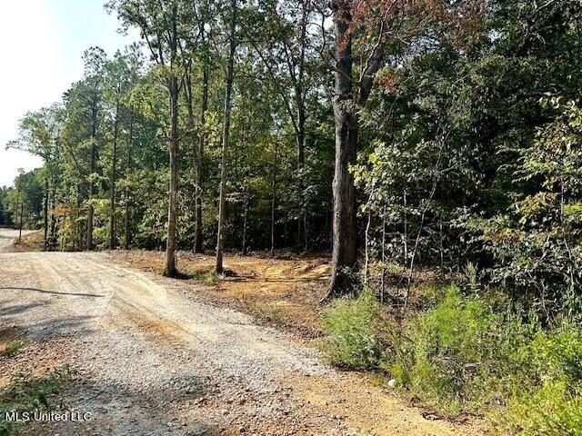 Davenport Rd Lot,byhalia, Plot For Sale