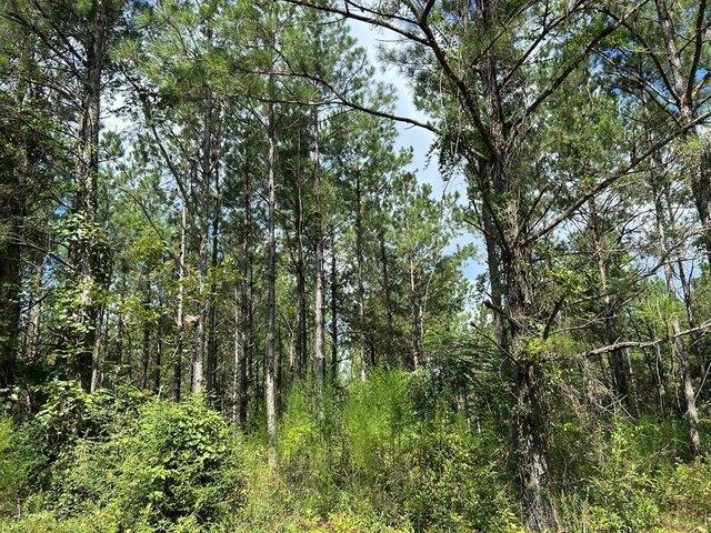 Davenport Rd, Laurel, MS 39443