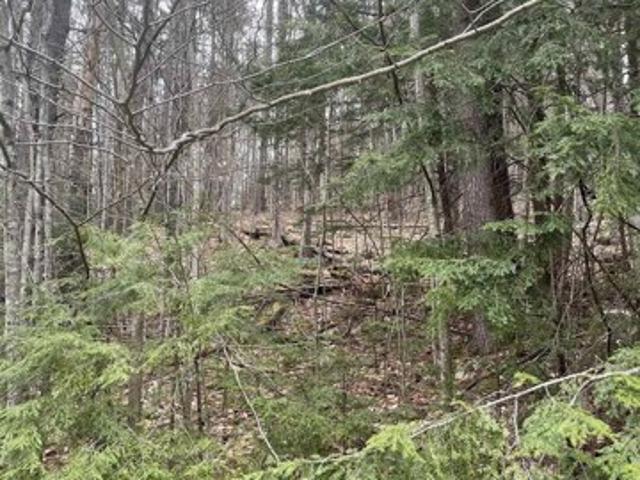 David Thompson Dr, Campton, Plot For Sale