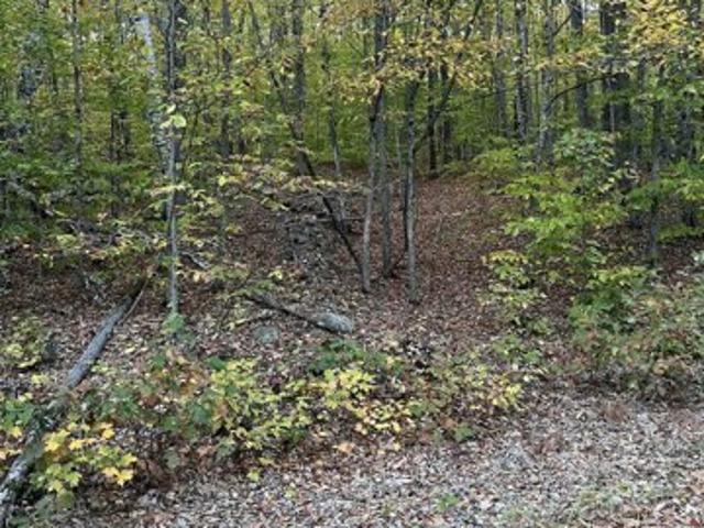David Thompson Dr, Campton, Plot For Sale
