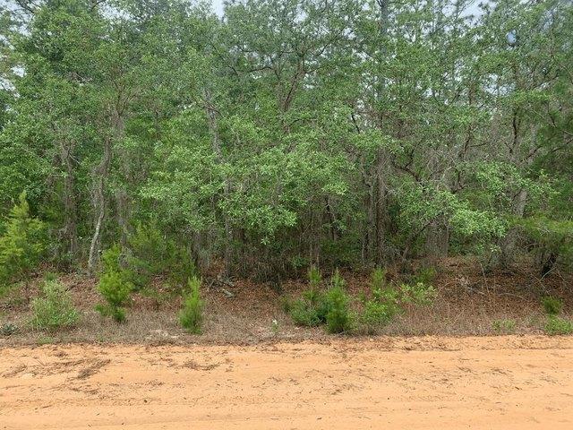 David Ave, Interlachen, FL 32148