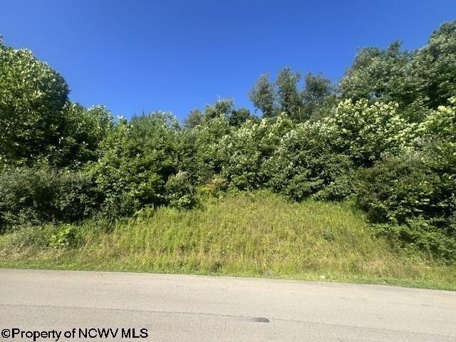 David Daniels Dr Lots 3 & 4, Fairmont, WV 26554