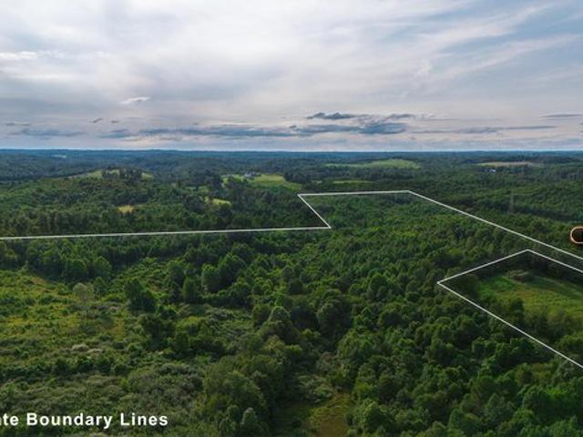 David Reese Rd, Oak Hill, OH 45656