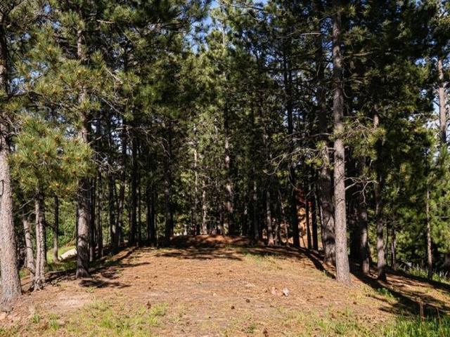 Davidson Ct, Lead, SD 57754