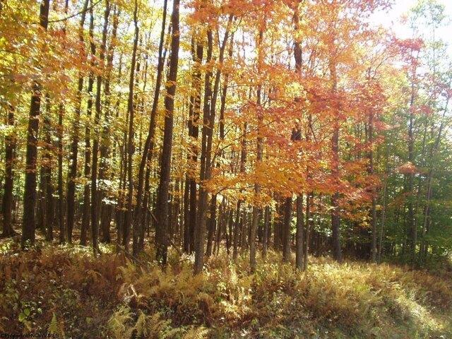 Davis WV 26260 103601415