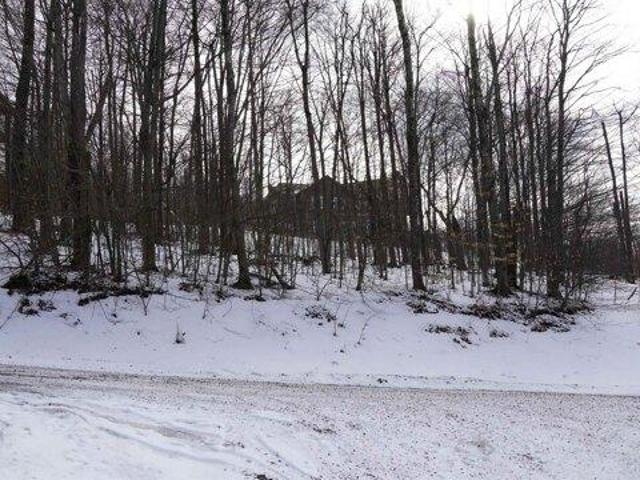 Davis WV 26260 104902988