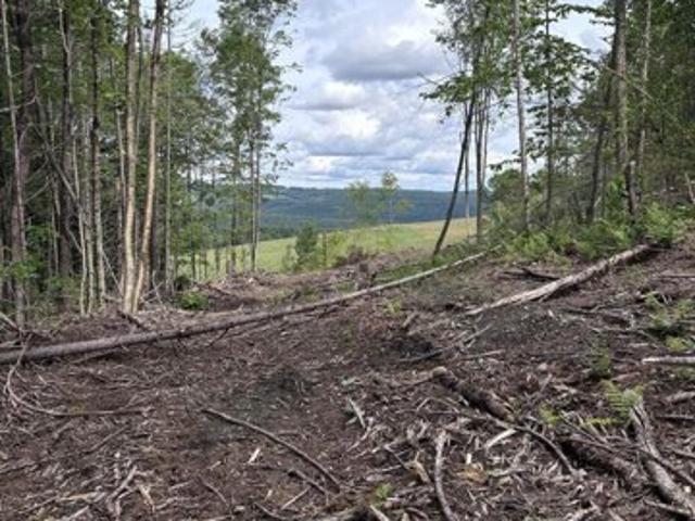 Davis Acres Rd, Brookfield, Plot For Sale
