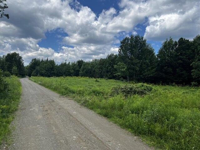 Davis Brook Rd, Amity, Plot For Sale