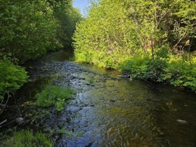 Davis Brook Rd Lot,amity, Plot For Sale