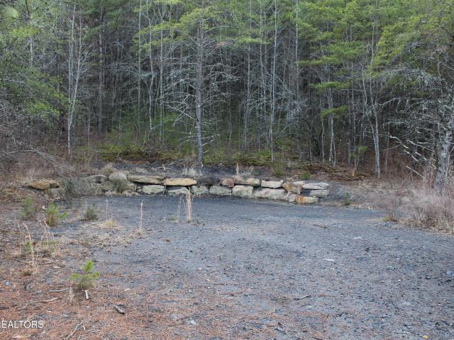 Davis Creek Tract 1 Rd, Duff, TN 37729