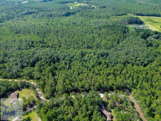 Davis Ct, Hinesville, GA 31313
