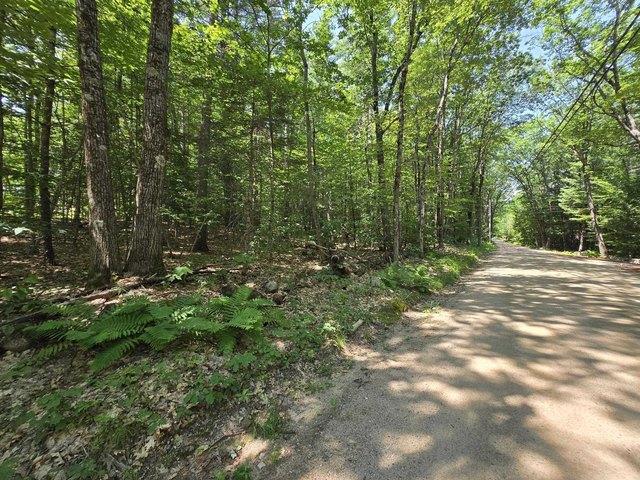 Davis Hill Rd Lot 26, Conway, NH 03813