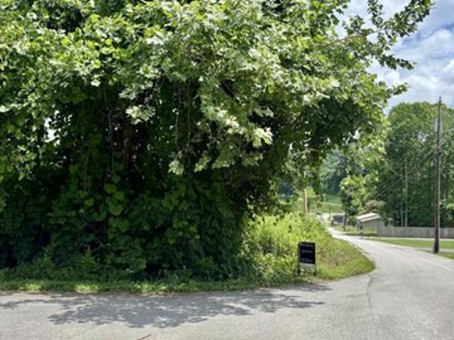 Davis Hollow Rd, Harriman, TN 37748