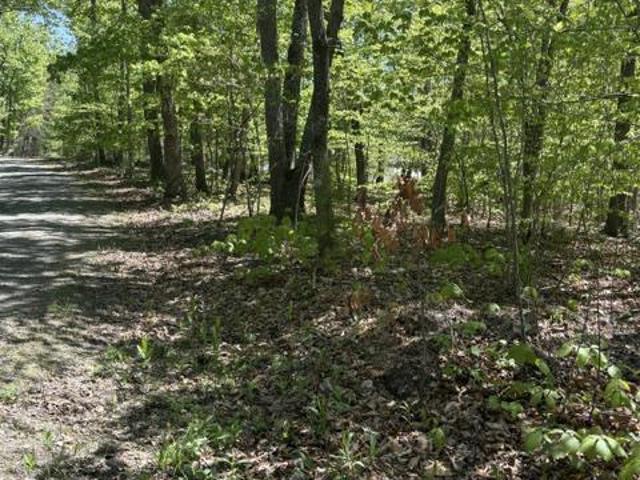 Davis Lane