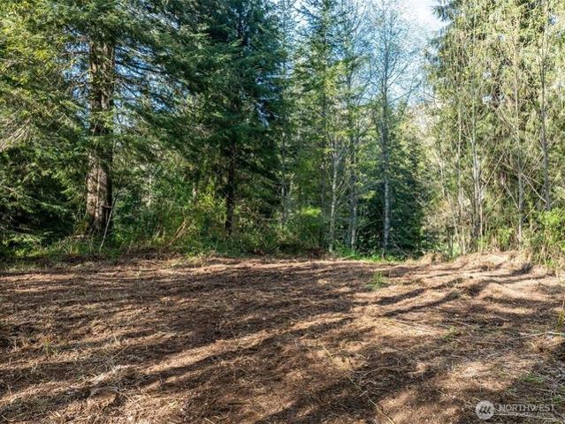 Davis Lake Rd, Morton, WA 98356