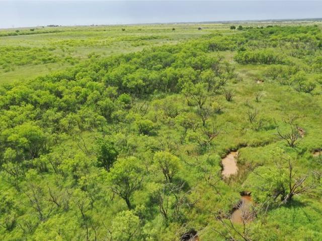 Davis Ln Tract # 9, Bellevue, TX 76228