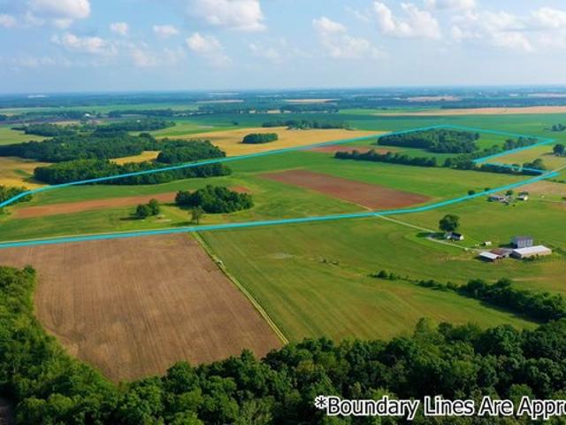 Davis Mill Rd, Trenton, KY 42286