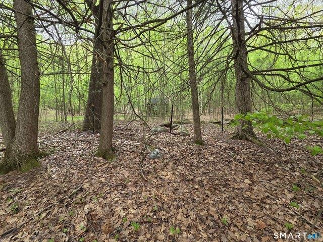 Davis Rd, Harwinton, CT 06791