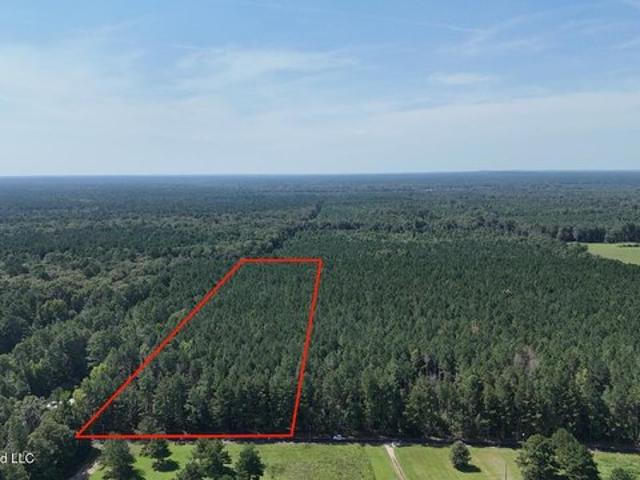 Davis Rd, Morton, MS 39117