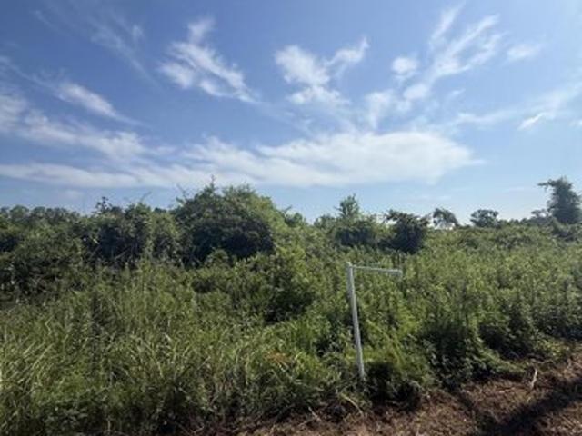 Davis Sawmill Rd, Lucedale, MS 39452