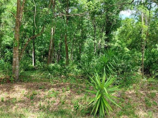 Davista, New Port Richey, FL 34654