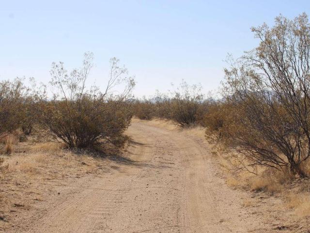 Dawn Road