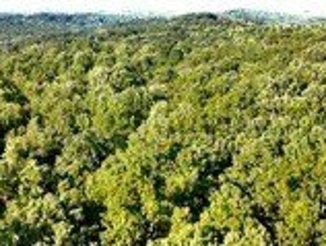 Dawsonville Hwy, Gainesville, GA 30506