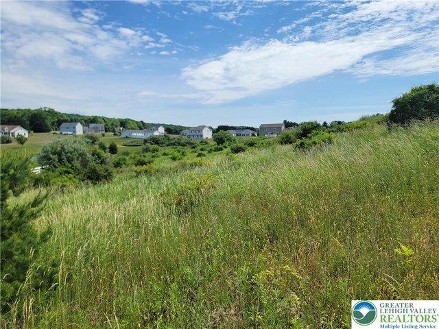 Dayne Dr, Towamensing Township, PA 18235