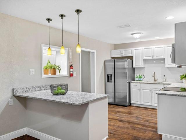 Dazzling newly renovated & modern Tampa with B