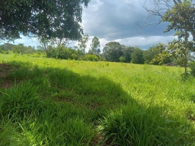 de 3,5 Alqueires com Acesso ao Lago Corumbá 4 Alexânia