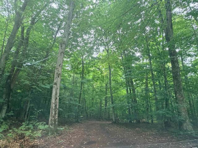Demerly Road