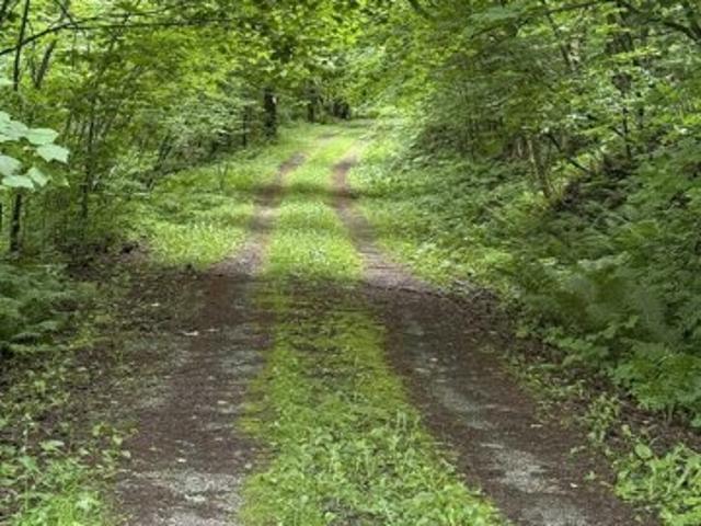 Deming Rd, Enosburg Falls, Plot For Sale
