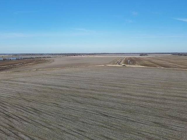 Demo Rd, Blackton, AR 72069