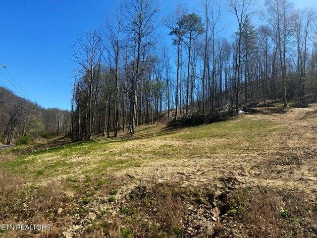 Demory Rd Lot 19 22, La Follette, TN 37766