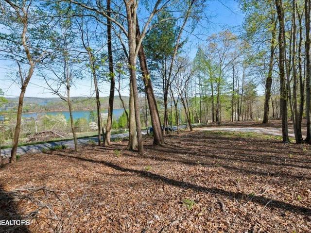 Demory Rd, LaFollette, TN 37766
