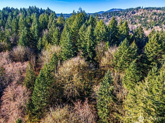 Dempsey Ln SW, Olympia, WA 98512