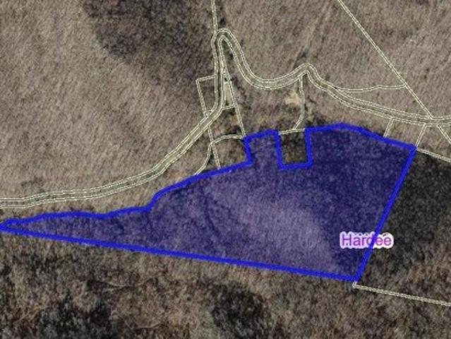 Den Branch Rd, Williamson, WV 25661