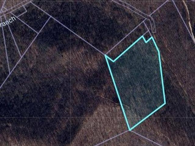 Den Branch Rd, Williamson, WV 25661