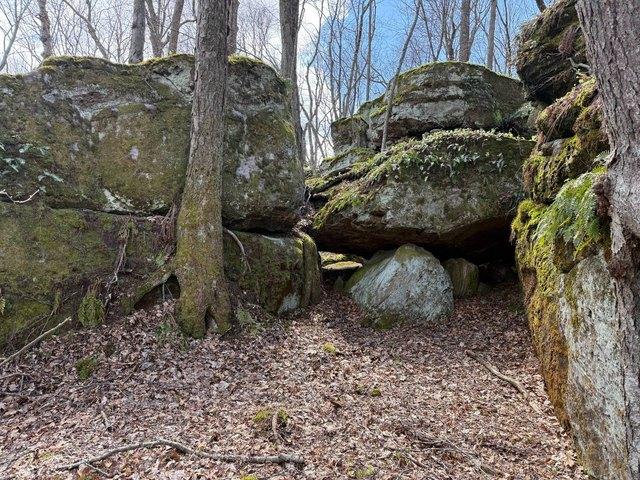 Dennsion Run Rd, Polk, PA 16342
