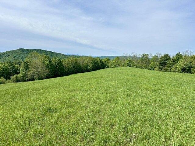 Densmore Rd, Chelsea, Plot For Sale
