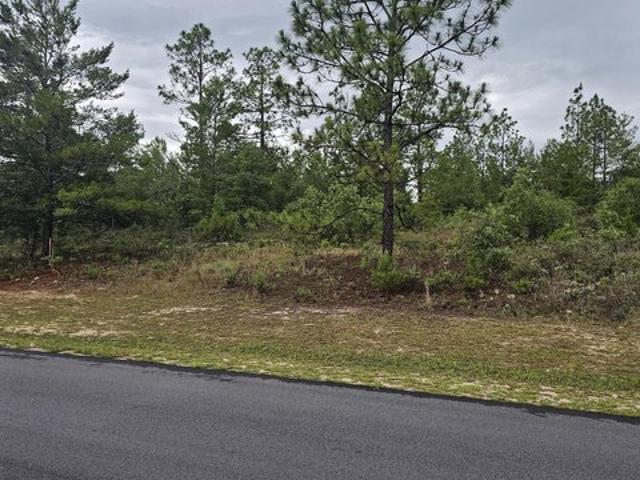 Deadening Rd Lot 3, Chipley, FL 32428