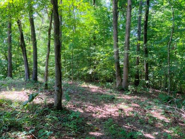 Deadwood Dr, Dover, TN 37058