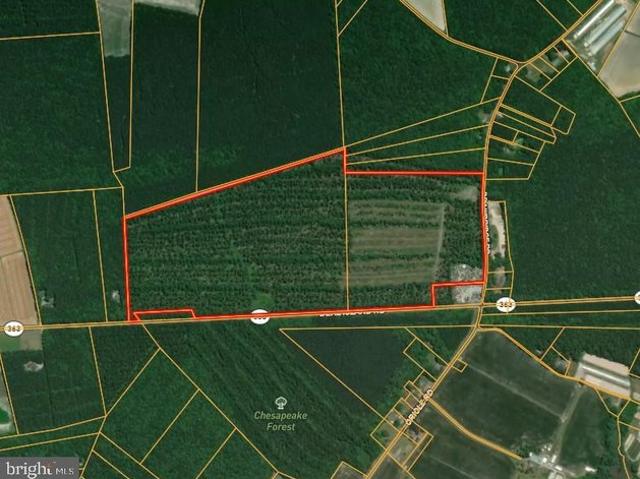 Deal Island Rd, Princess Anne, MD 21853