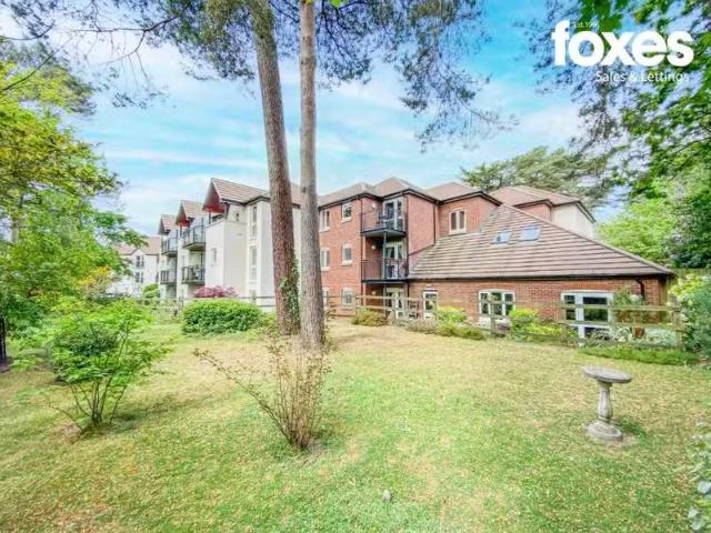 Deal! 1 BA 1 bedroom apartment for rent in Cherrett Court, 557.
