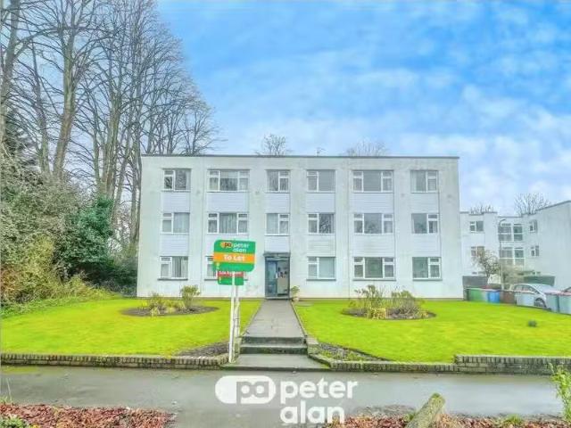 Nice 1 BA 1 bedroom apartment for rent in Lime Trees, Llanishe.