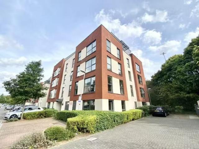New 1 BA 2 bedroom apartment for rent in Ashton Gate, Paxton D.