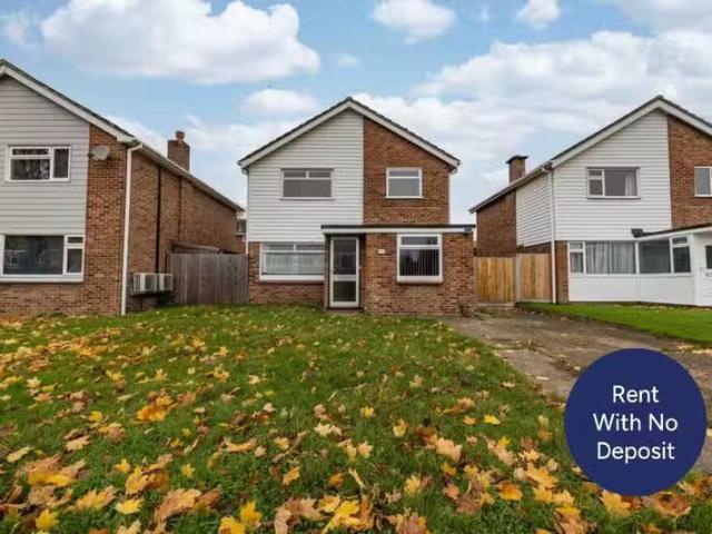 Just in! 1 BA 4 bedroom detached house for rent in Salisbury R.