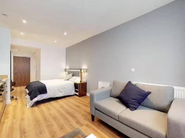 Unique 1 BA Studio apartment for rent in Apt 22, Gravity Resid.